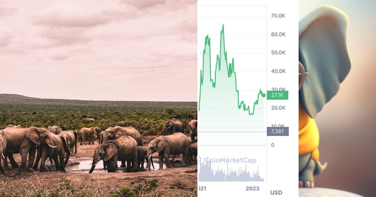 List: Elephant Money | Curated by Danyell Barry | Medium