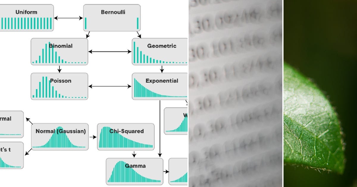 List: Modeling | Curated by Guy Vanden Boer | Medium