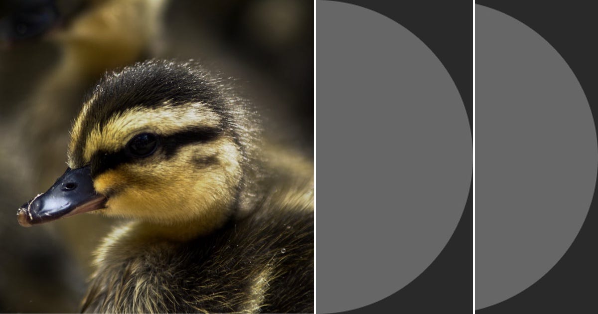 List: Python | Curated by Liu Na | Medium