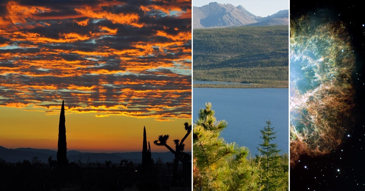 List: Science Spectrum | Curated by Nicholas Armendarez | Medium