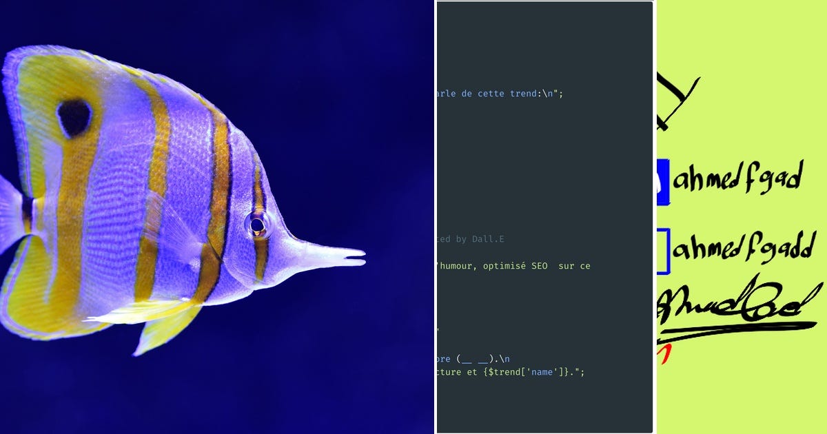 List: Cool algorithms | Curated by Anna Bezlova | Medium