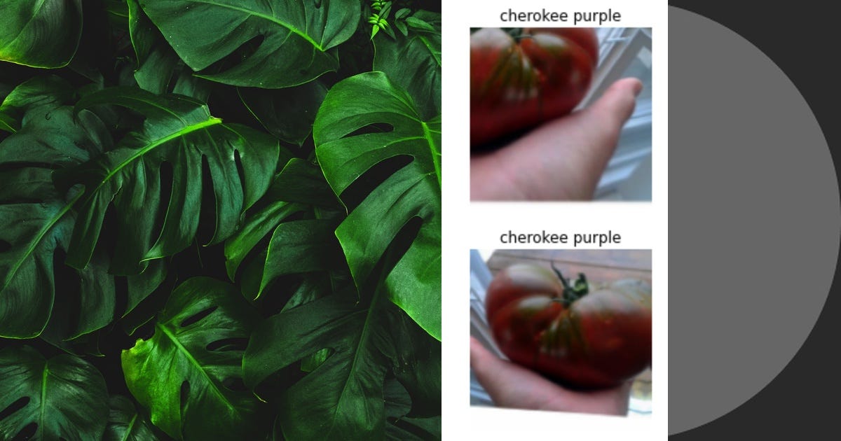 List: web-app | Curated by Fabrizio Ferrari | Medium