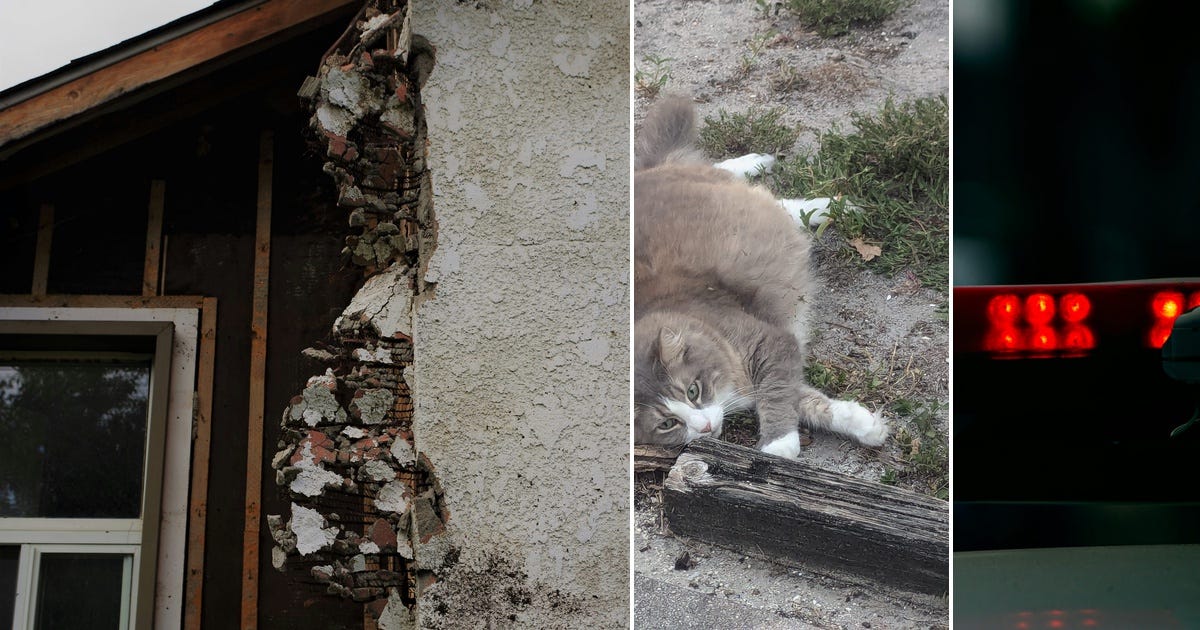 List: Cole's Intrusive Thoughts | Curated by M. Cole Grady | Medium