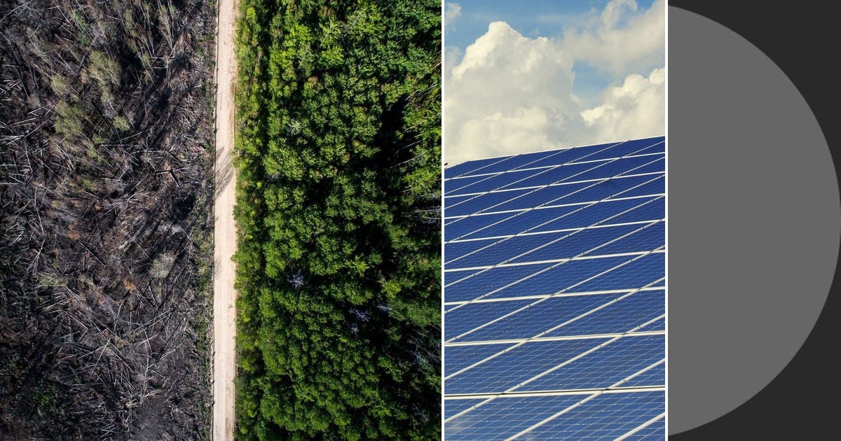 List: People planet health | Curated by Sarah Chartier | Medium