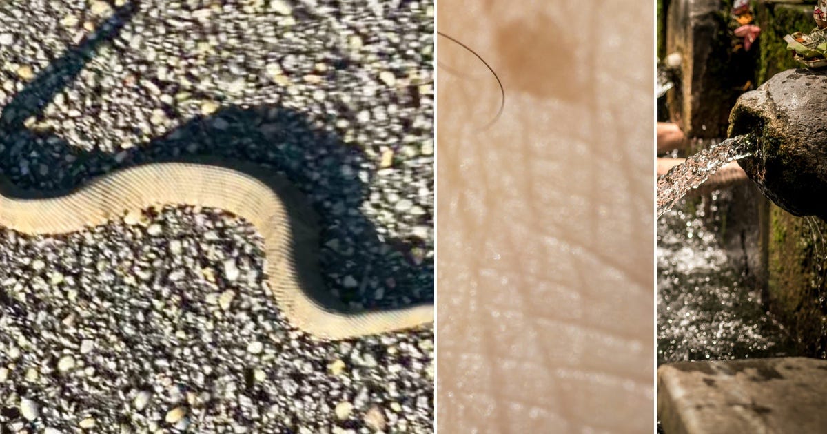 List: Reading list | Curated by Casey Sears | Medium