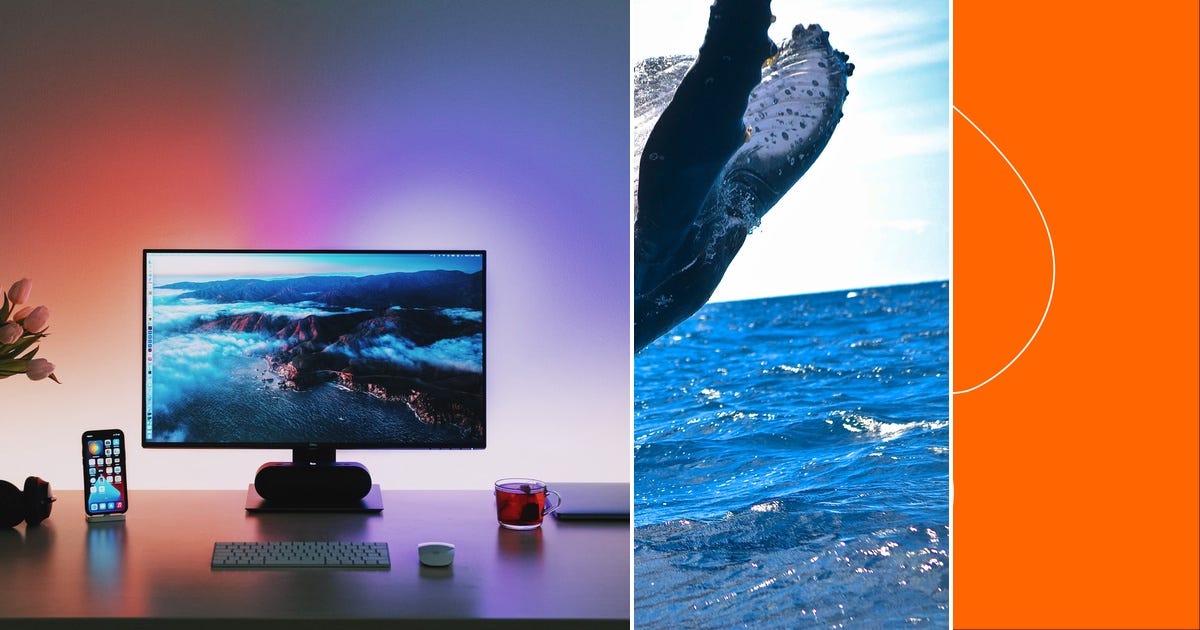 List: tools | Curated by Afifa | Medium