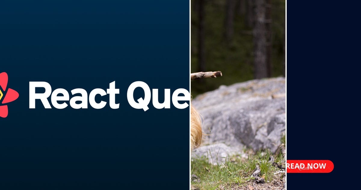 List: React | Curated by Final Striker | Medium