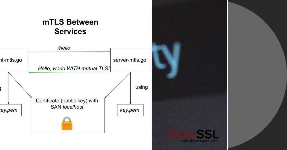 List: TLS - Mutual Certificate | Curated by Enrico Conte | Medium