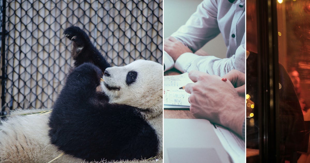 List: Python modules | Curated by Eugen | Medium