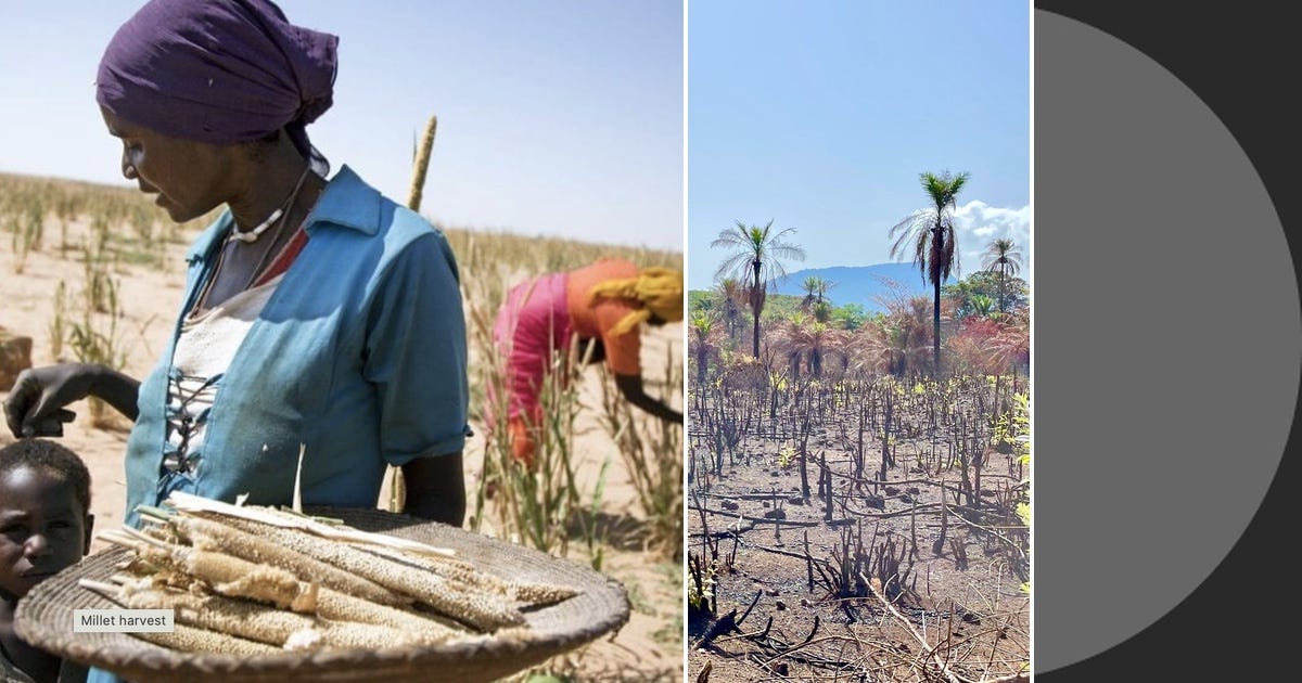 List: French | Curated by Global Stride | Medium