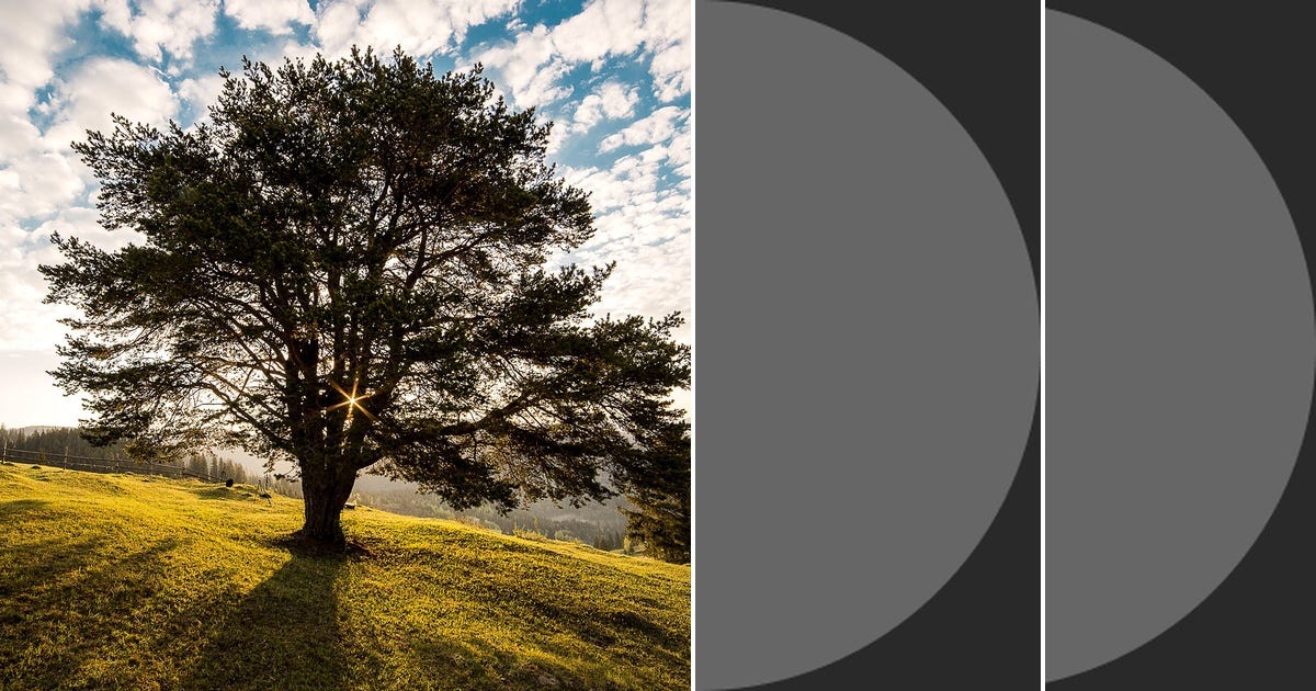 List: DOM | Curated by Lisaconfirmations | Medium