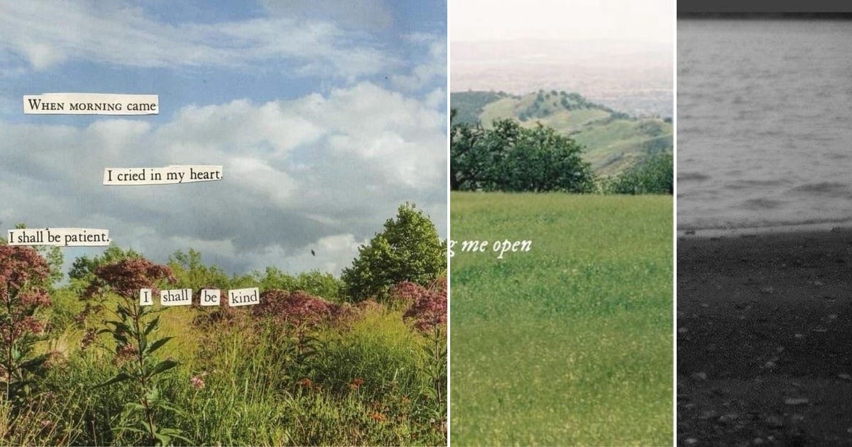 List: inspiring plot | Curated by ganife | Medium