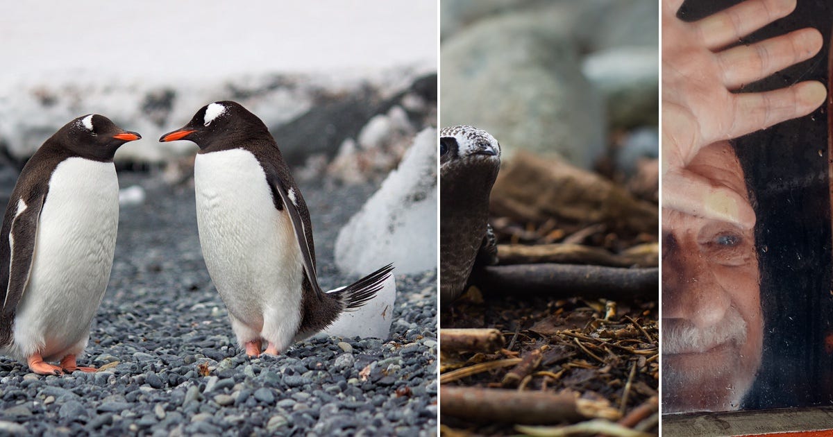 List: Fiction | Curated by Patrick Eades | Medium