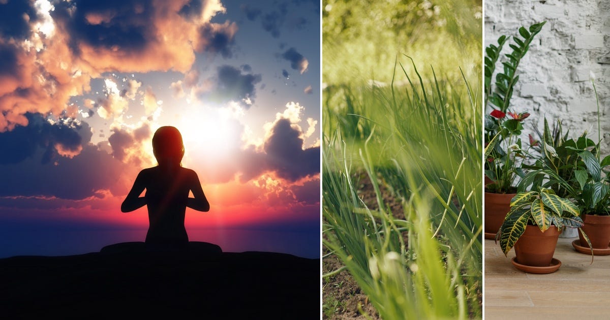 List: Reading list | Curated by Iqra Aslam | Medium