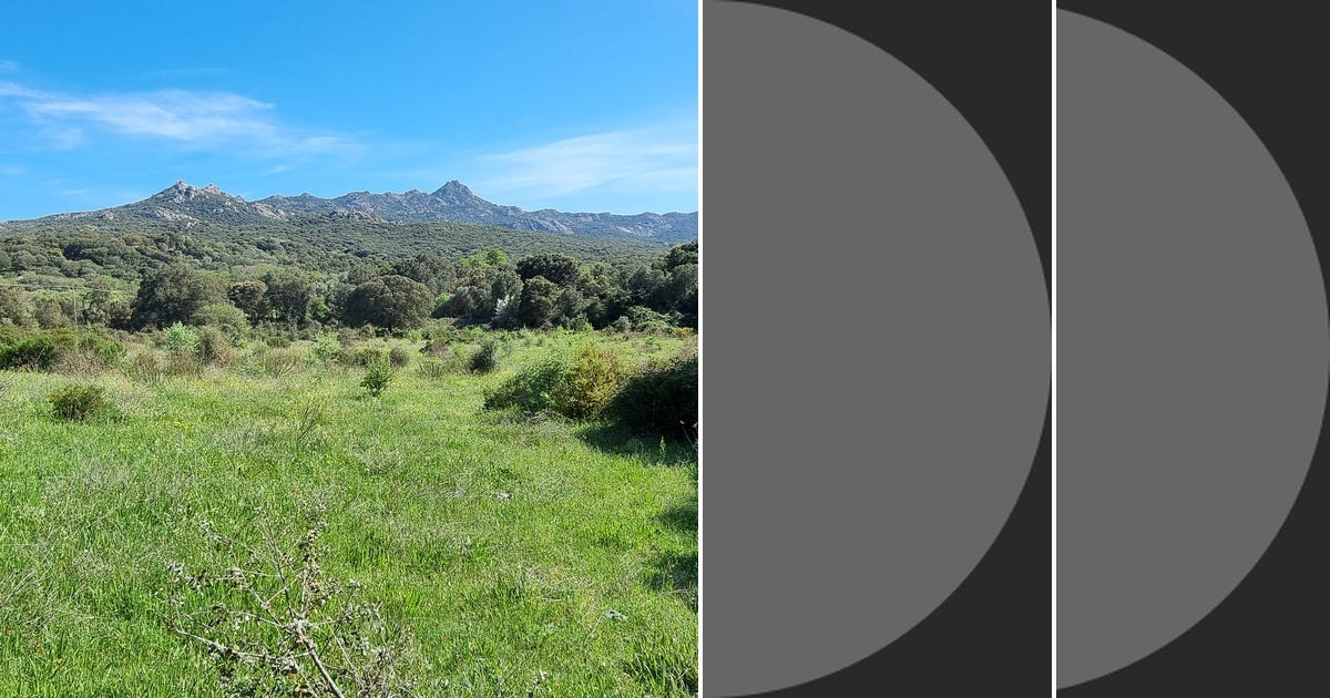 List: CX | Curated by Sue Francis | Medium