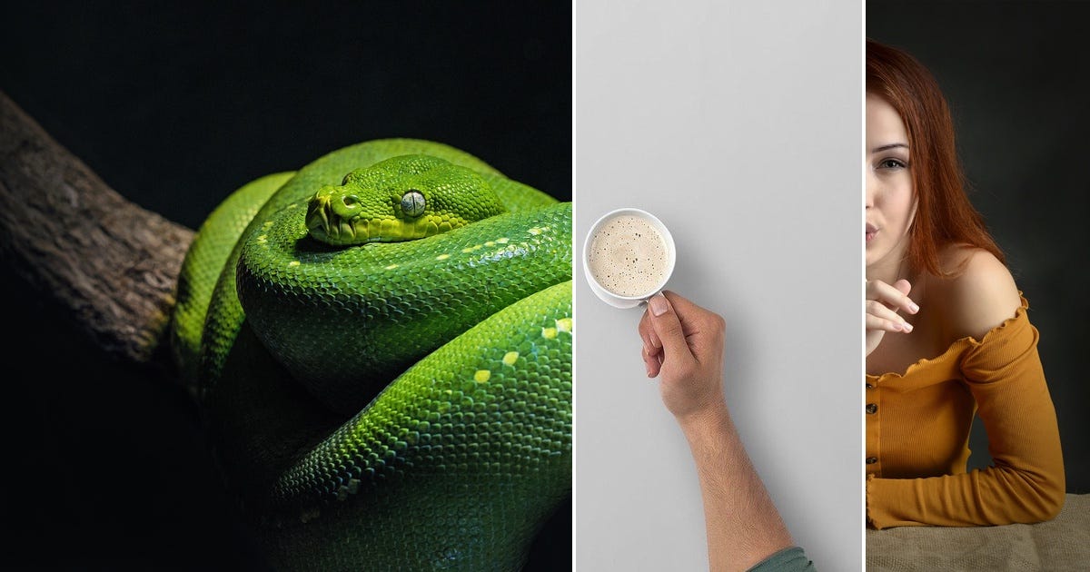 List: Python Tricks | Curated by Fredrik Kant | Medium