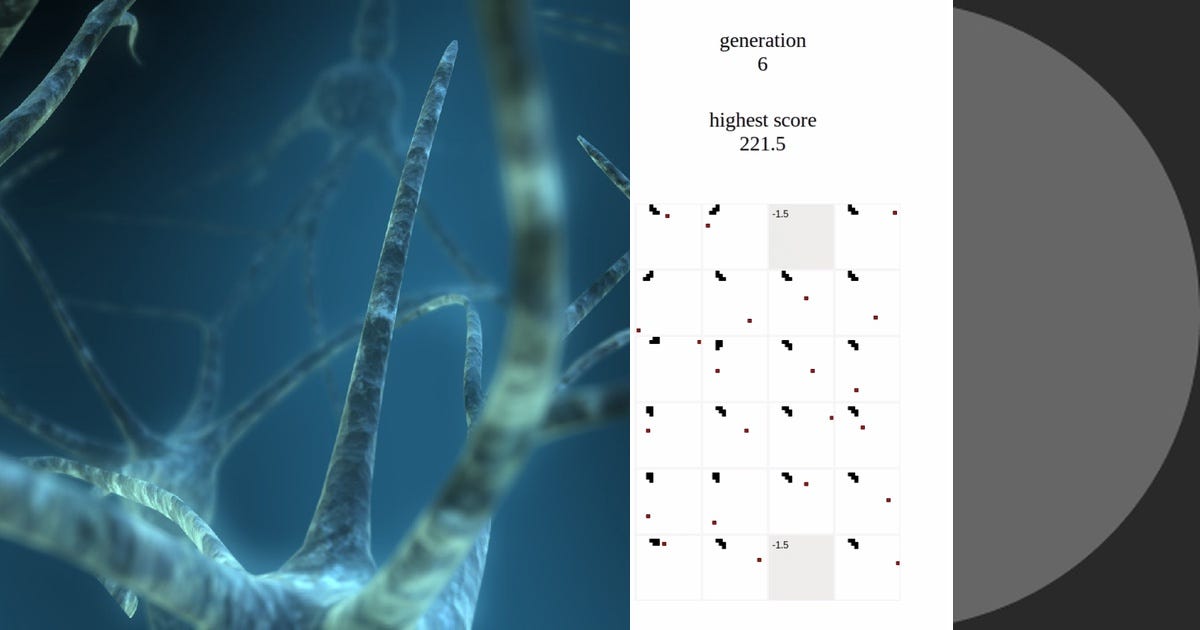 List: Creating neural network from scratch | Curated by Tomas F Wilson ... List: Creating neural network from scratch | Curated by Tomas F Wilson ...