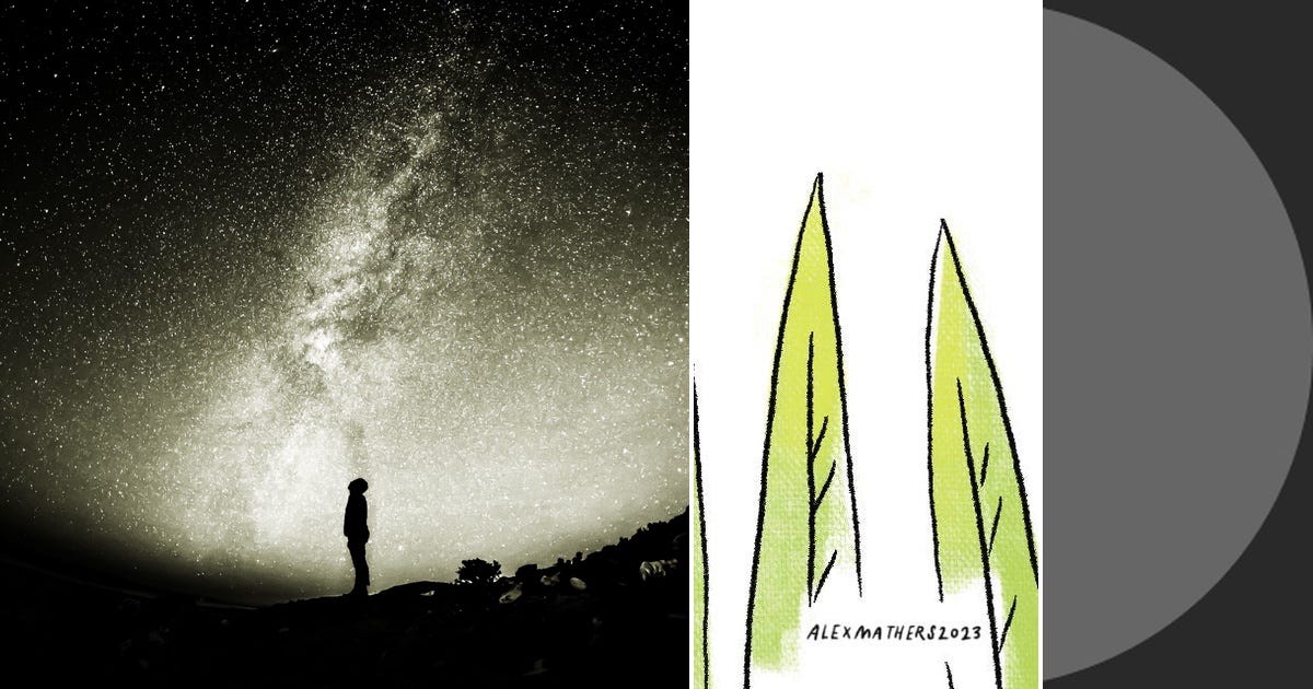 List: wellness | Curated by princesa | Medium