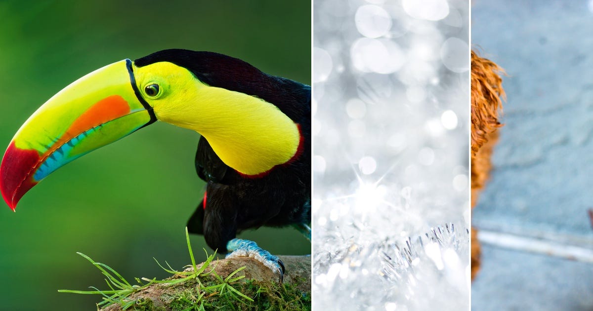 List: Shortform | Curated by Nancy Stephan | Medium