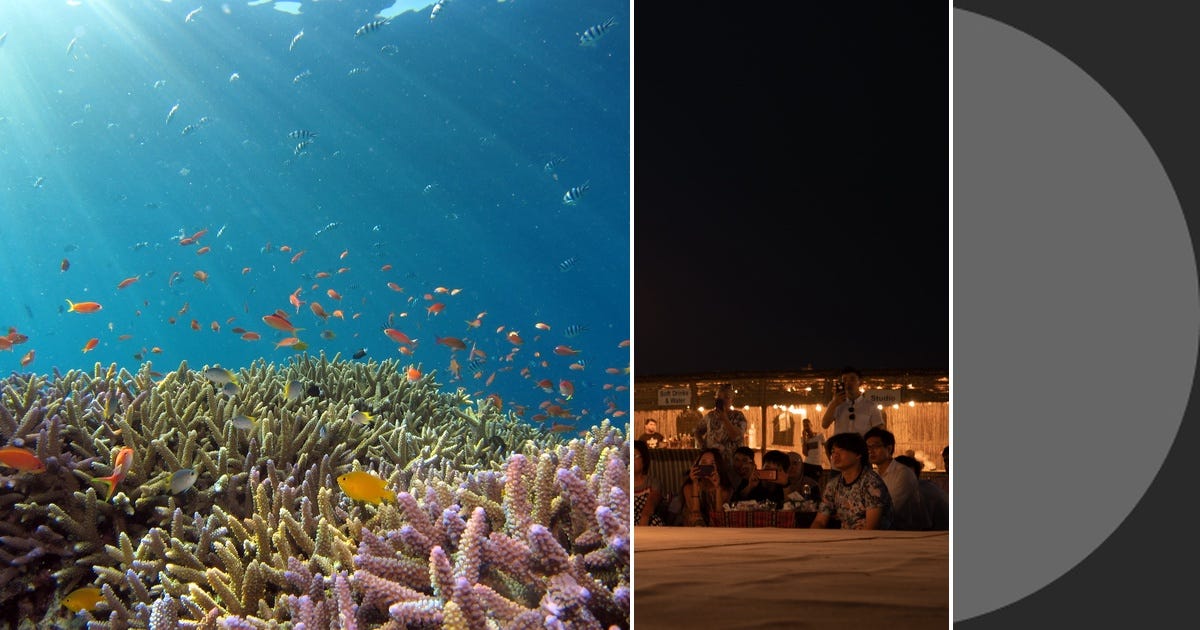 List: How it Works | Curated by Theodore John.S | Medium