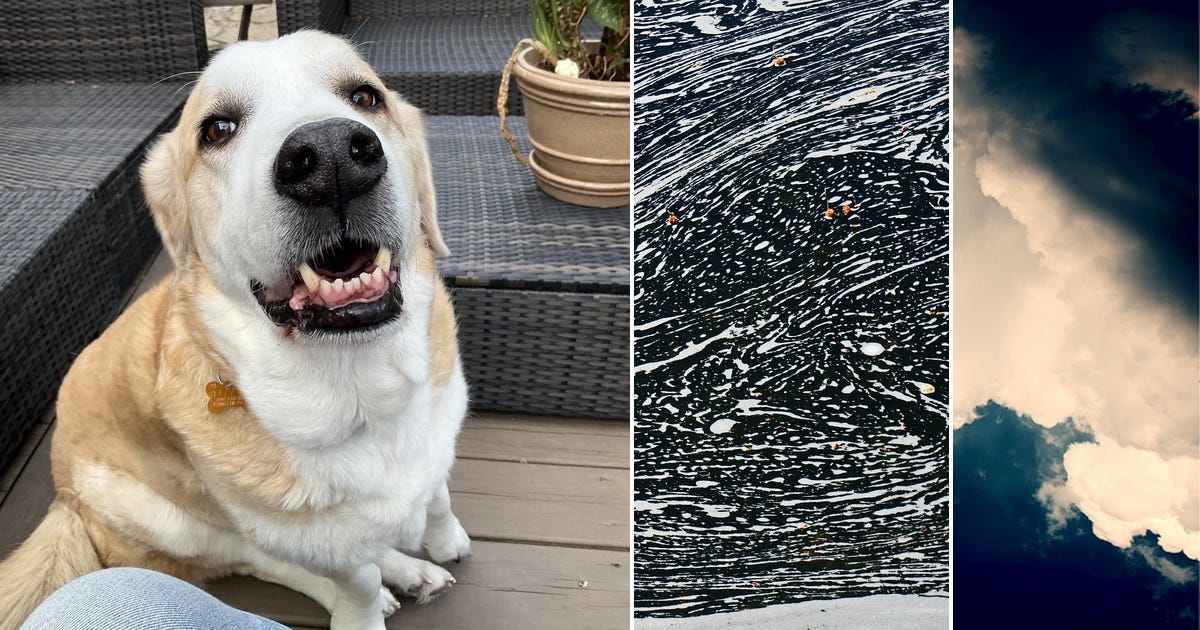 List: Spirit Matters | Curated by Beth Riungu | Medium