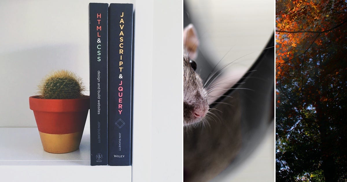 List: JavaScript | Curated by Yuta Uchida | Medium