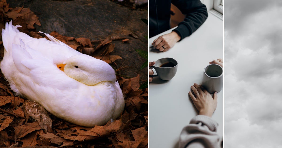 List: Summarised books | Curated by Janvi Rajani | Medium