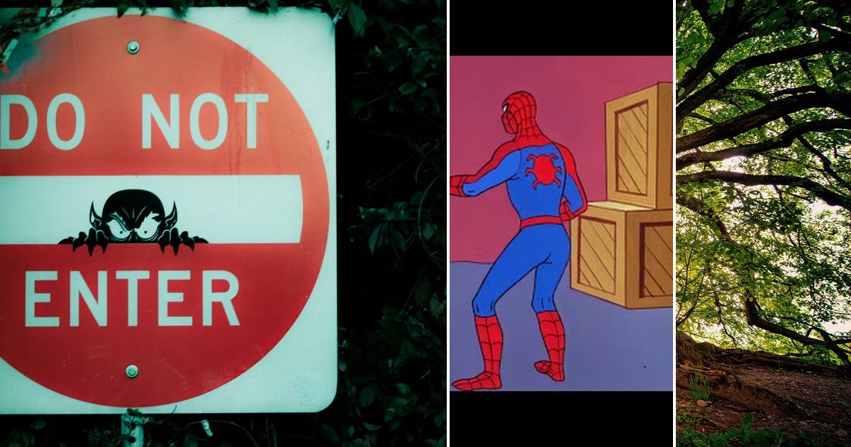 List: SQL | Curated by Pedro P | Medium