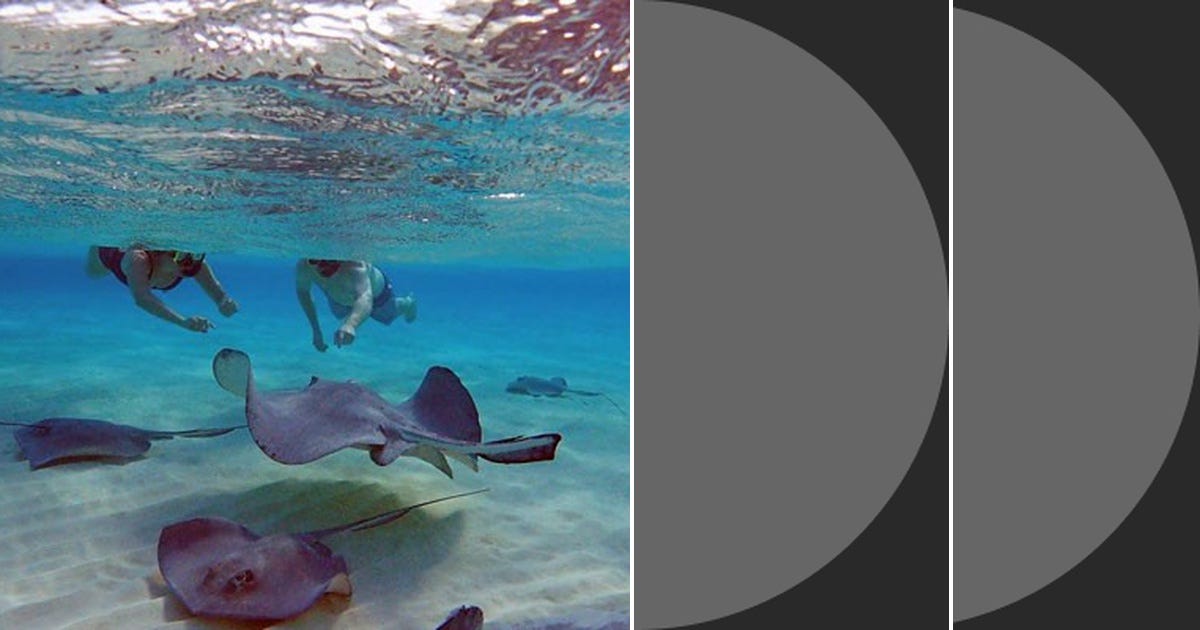 List: Reading list | Curated by Rowan Water Sports | Medium