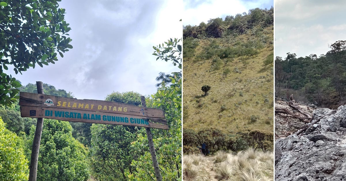 List: Nat | Curated by ~ncips | Medium