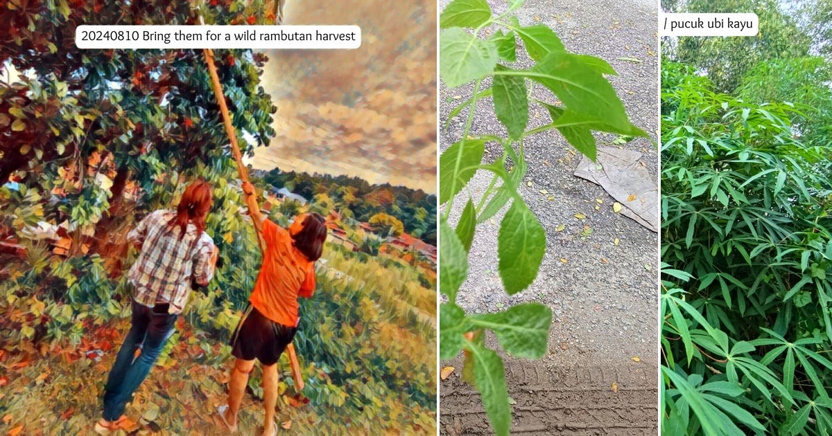 List: Nature Activity Adventures | Curated by Joyce SE | Medium