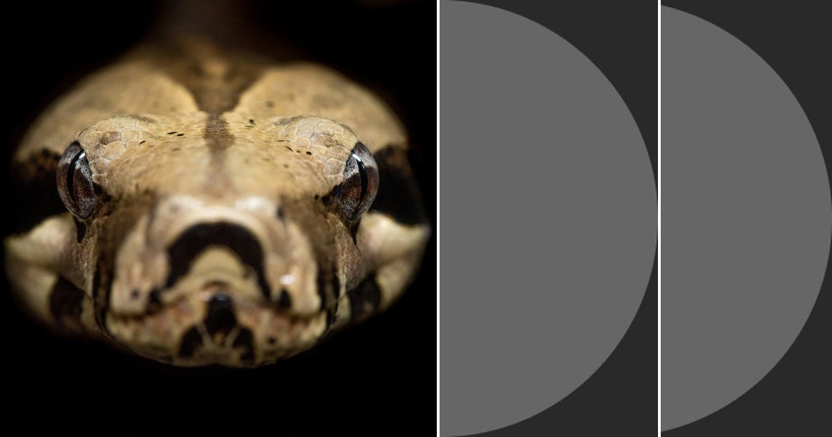 List: Python | Curated by Dirk | Medium