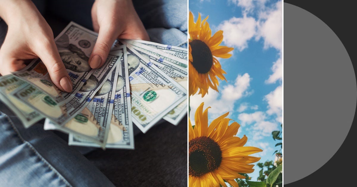 List: Vortic United | Curated by Harry Schot | Medium