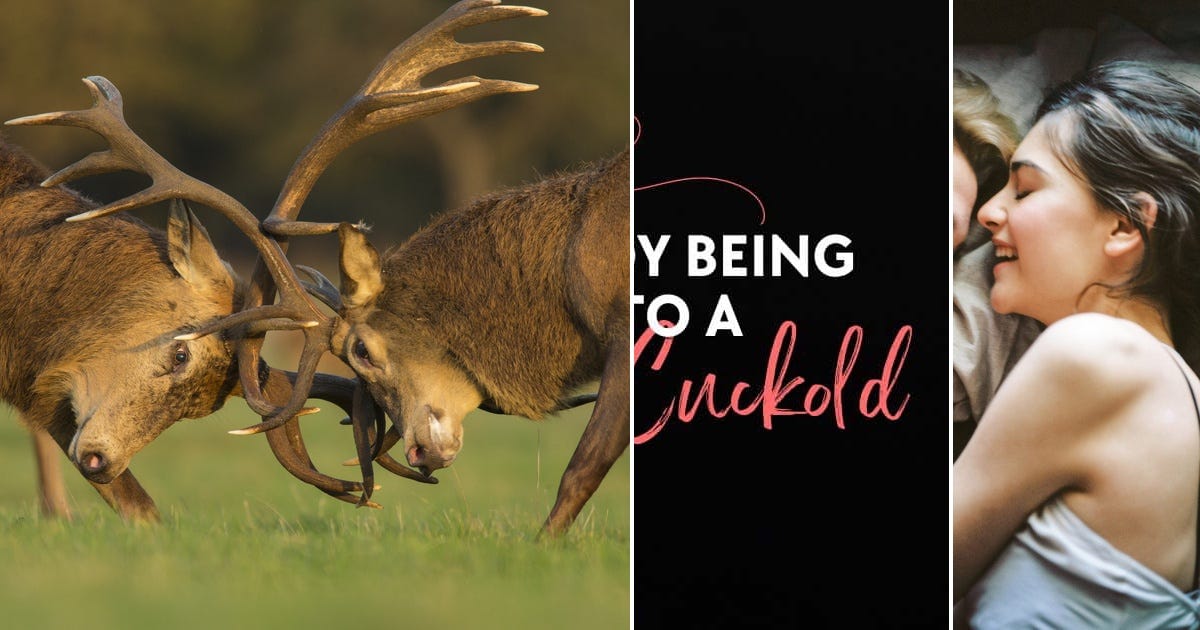 List: Hotwife/cuckold | Curated by Jad | Medium