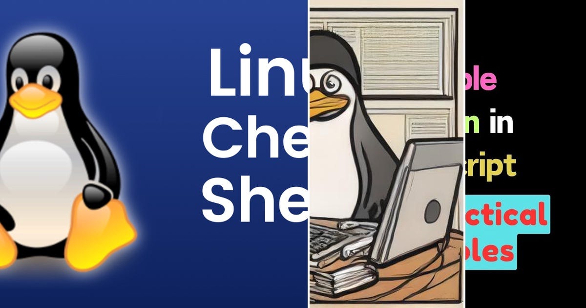 List: Bash Scripting | Curated by HadiS | Medium