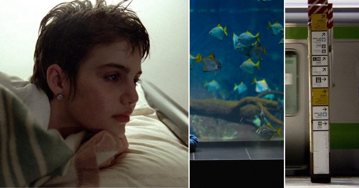 List: Reading list | Curated by Sofia Weber | Medium