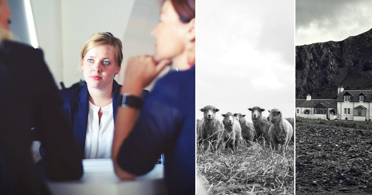 List: Reading list | Curated by Dainis Kazenas | Medium