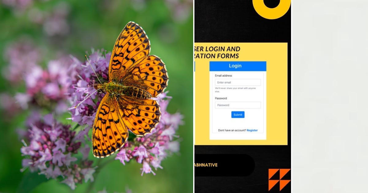 List: Web Development | Curated by Sumas | Medium