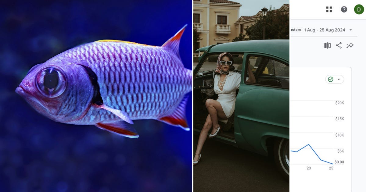 List: Writing Ebook | Curated by DeryaSefer | Medium