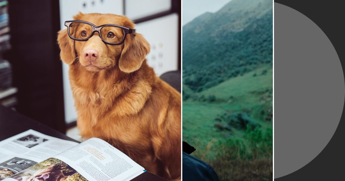 List: Career | Curated by Dao Tran | Medium