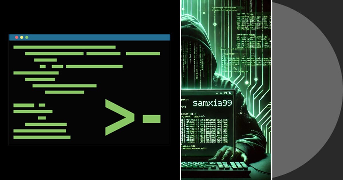 List: Shell | Curated by Doyoon | Medium