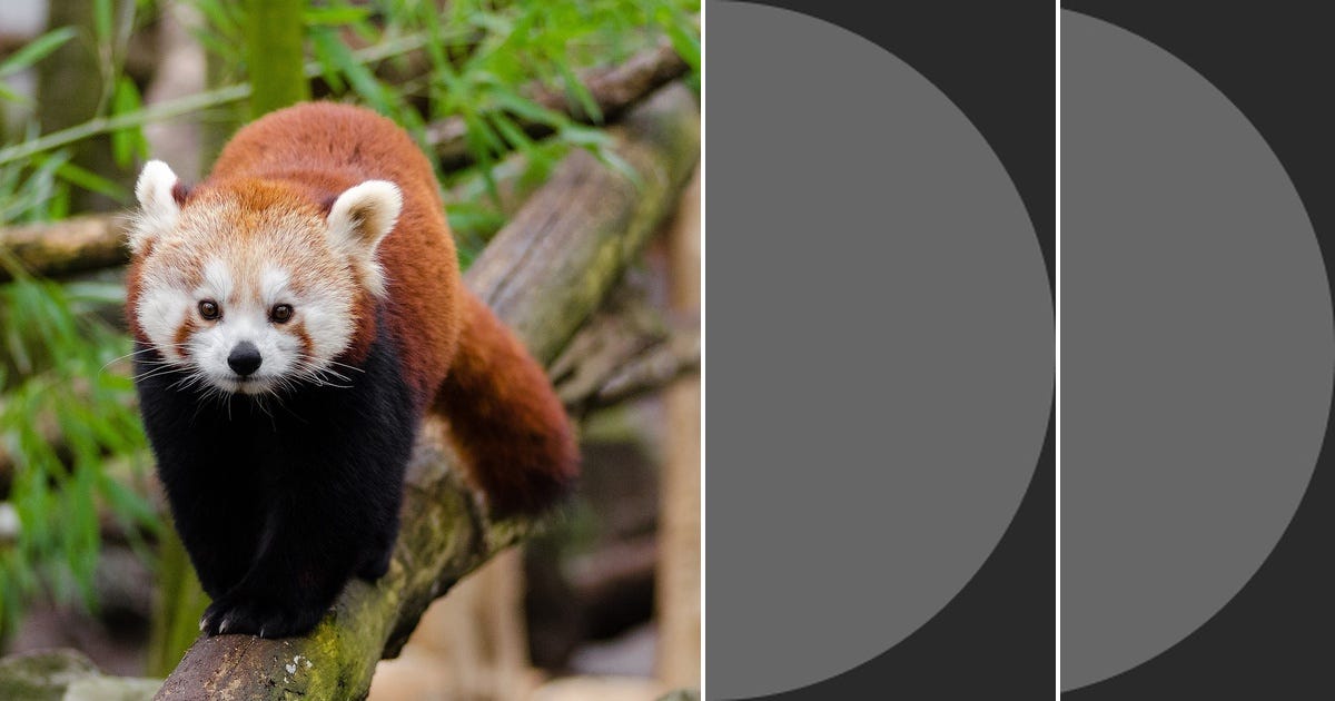 List: Api | Curated by Alberto Boquin | Medium