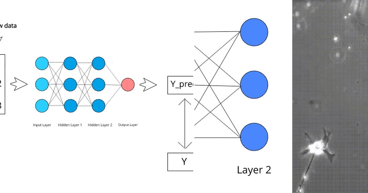 List: Neural Networks | Curated by Pratiksha Shirore | Medium