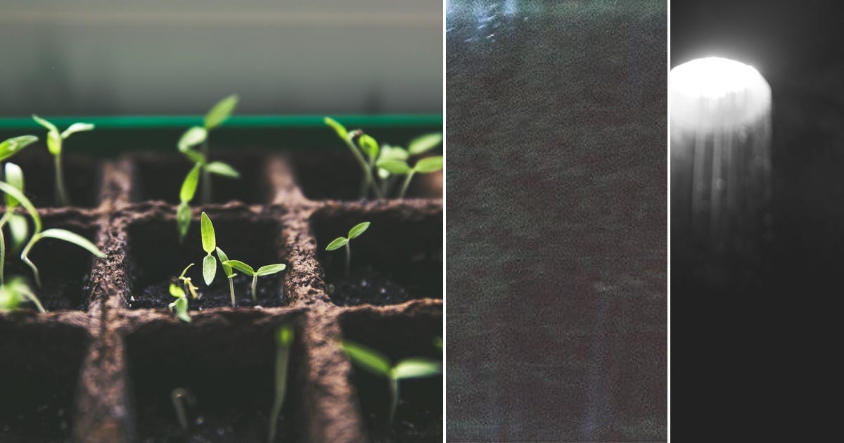 List: self | Curated by Nindita Athifa | Medium