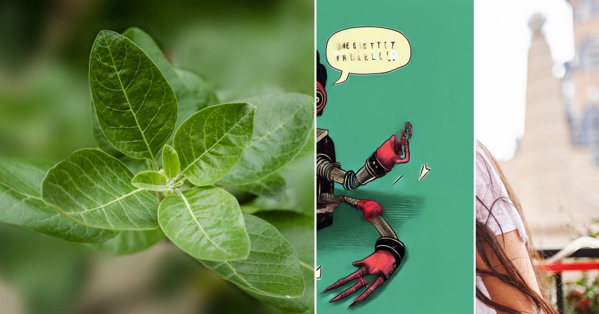 List: 2023 Value | Curated by Susan Bean | Medium