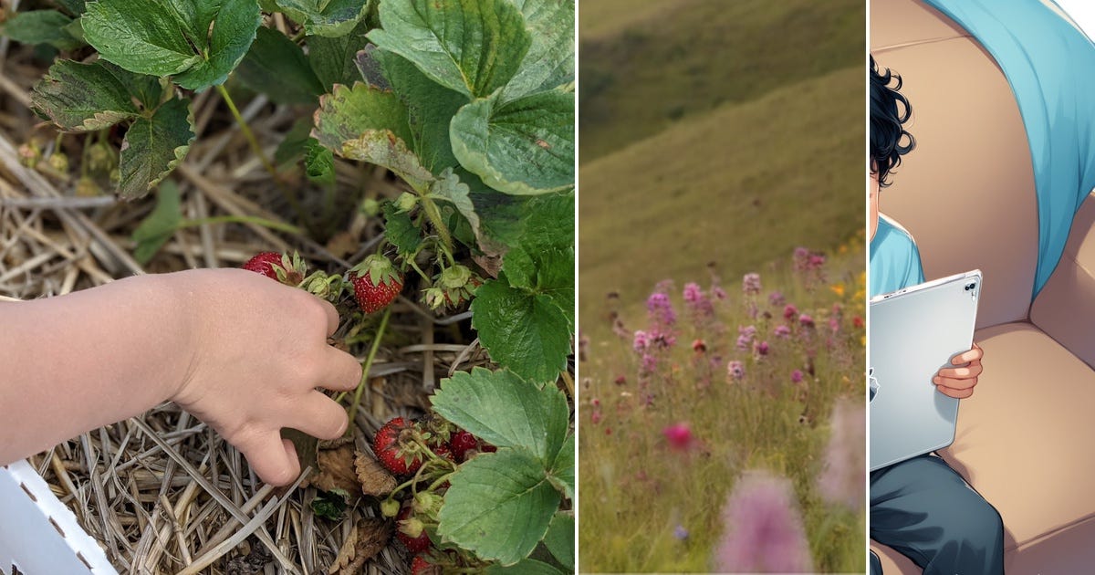 List: Boosted | Curated by Hollie Harris | Medium