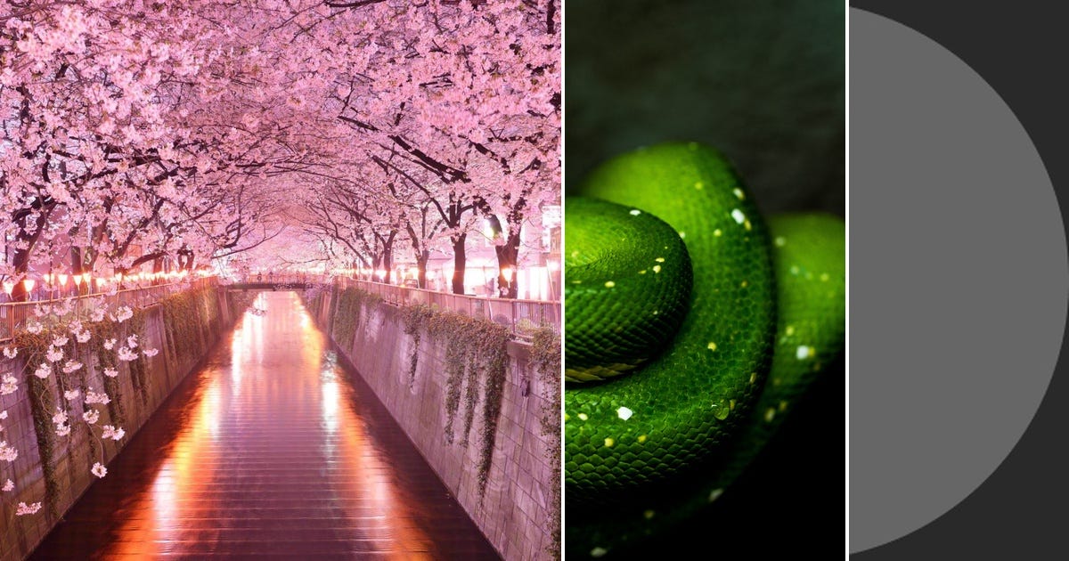 List: Python libraries | Curated by Helenagmieres | Medium