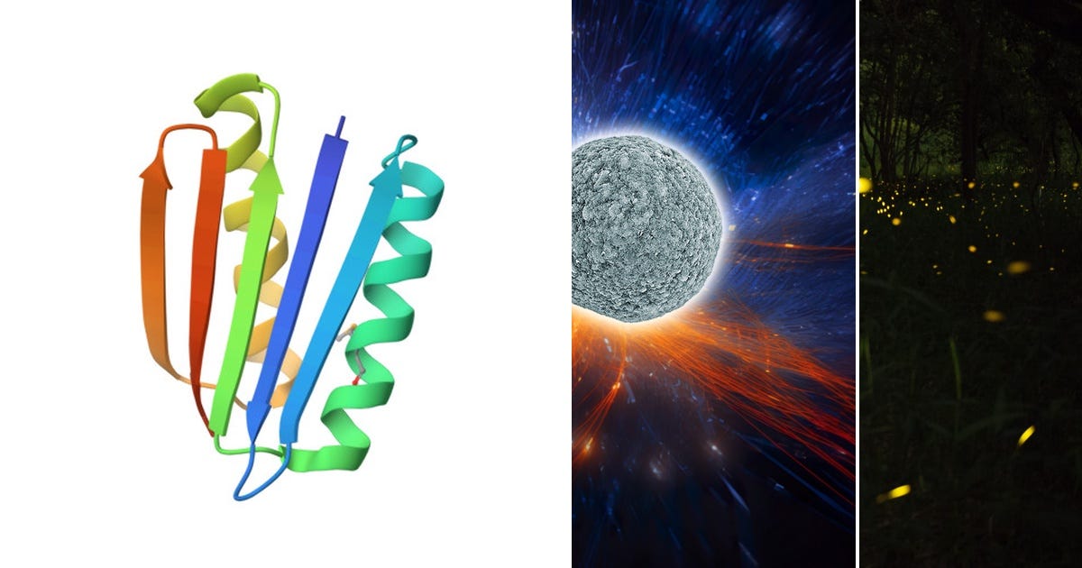 List: BIOCOMPUTING | Curated by scitechtalk tv | Medium
