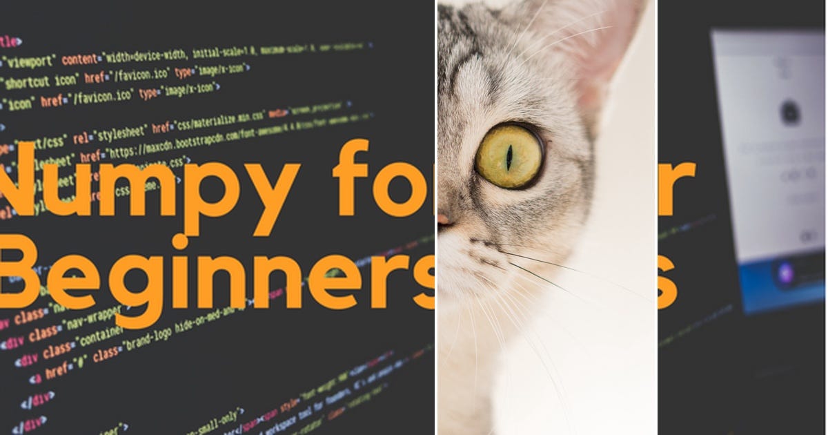 List: numpy | Curated by Necati Akyilmaz | Medium