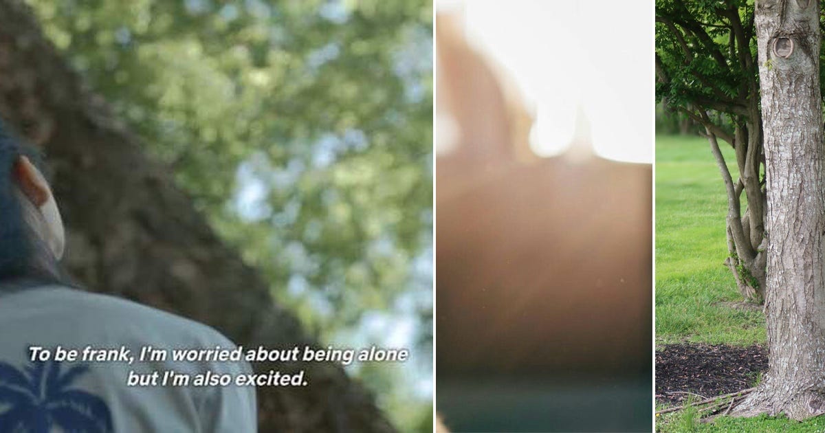 List: Self | Curated by MJ Cabalquinto | Medium